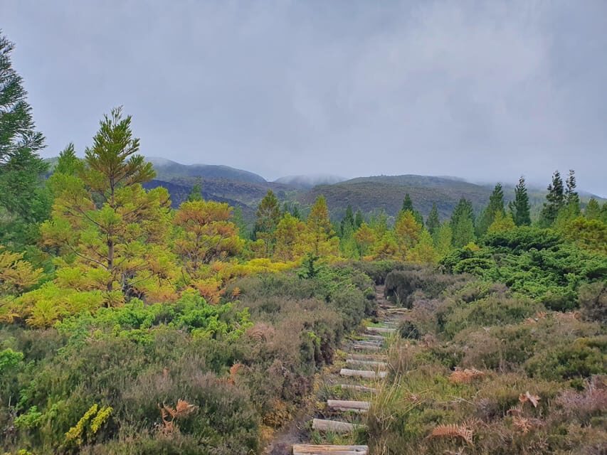 Terceira Island Half Day Hiking Trail: Mistérios Negros - The Final Word: Who Should Consider This Tour?