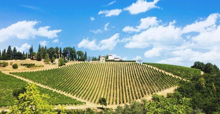 Terricciola Valdera E-Bike Tour + Wine Tasting, Photo Shoot - Who Will Love This Tour?