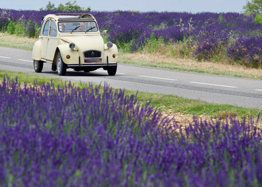 The best of Provence: 4-day tour - Who Should Consider This Tour?