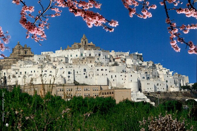 The Best of Puglia: Three White Purls - Key Points