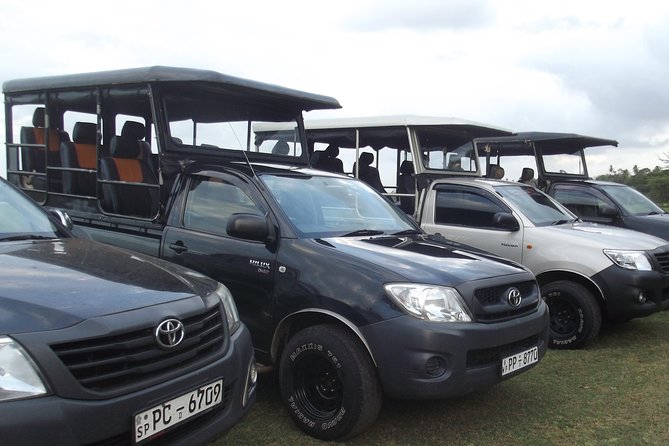 The Best Safari tour from Hambantota Port (Janaka safari) - Key Points