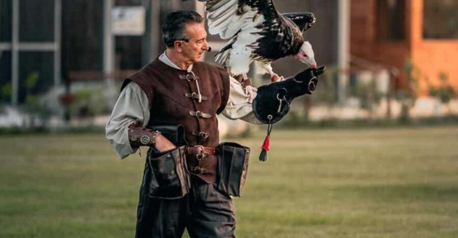 The court of the falconer Masseria Mazzetta - What to Expect: Birds, Horses, and Medieval Flair