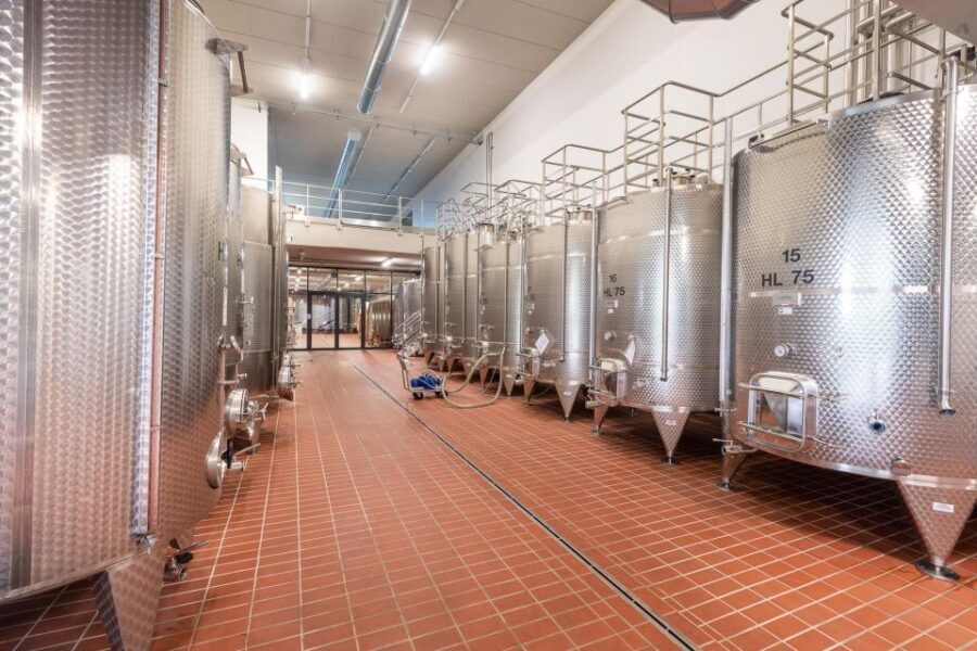The Dosman: Winetasting in La Morra - Why This Tour Stands Out