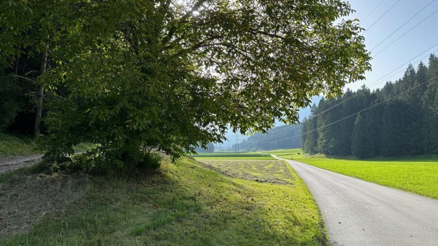 The forest as an Escape Room for the whole family - Who Will Enjoy This Experience?
