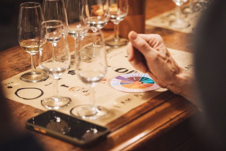 The Gin Eva Tasting at Casa Eva - Introduction: A spirited adventure in Mallorca