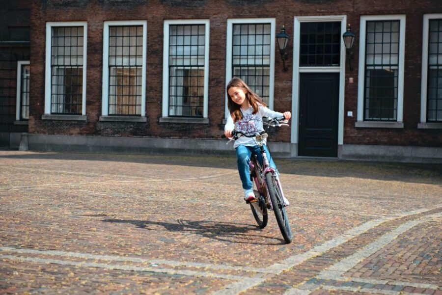 The Hague: Highlights Bike Tour - The Value of the Bike Tour