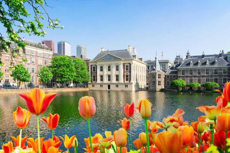The Hague: Insta-Perfect Walk with a Local - Detailed Breakdown of the Tour