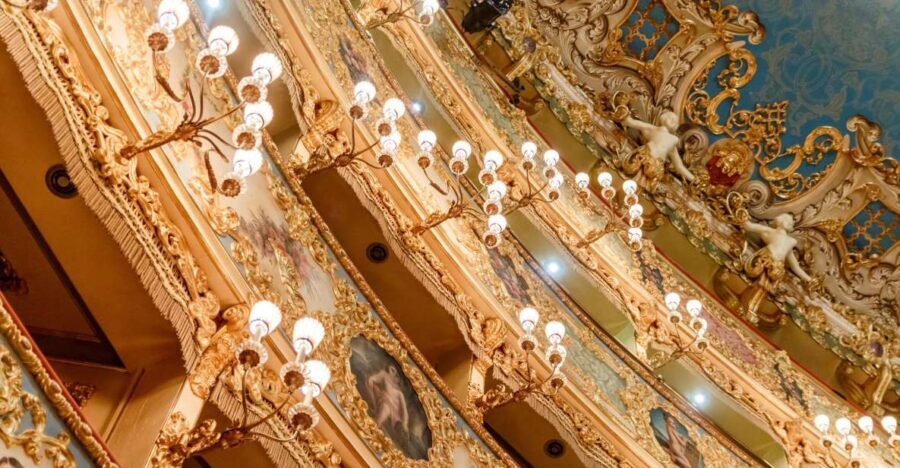 The Majestic Teatro La Fenice: Guided Tour in Venice - Practical Details and Value