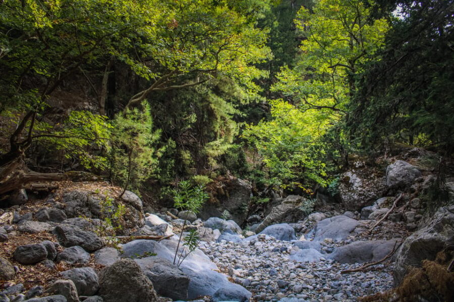 The Unique Tour of Samaria Gorge - An In-Depth Look at the Samaria Gorge Tour