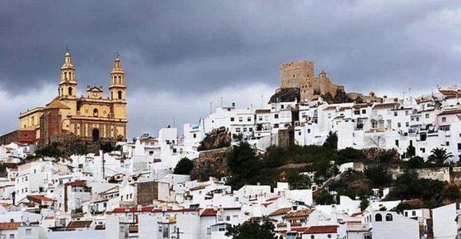 The Villages of Andalusia: Full-Day Trip from Seville - The Value of the Tour