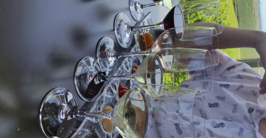 Thessaloniki: Winery Visit with Wine Tasting Experience - Exploring the Winery and Its Charm