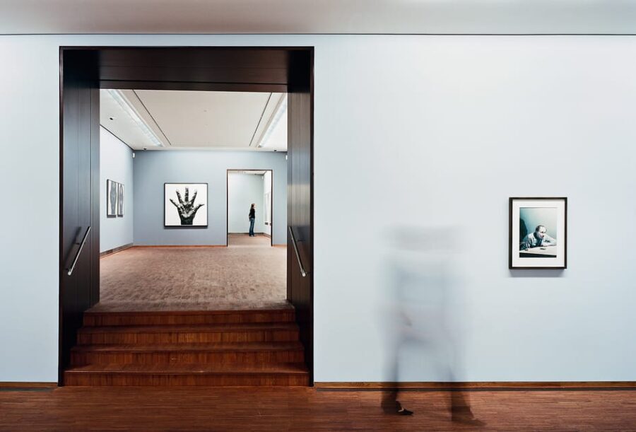 Tickets for the Albertina Exhibitions - Who Will Love the Albertina?