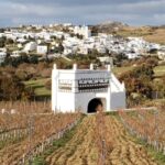 Tinos: Winery Tour and Wine Tasting Paired with Snacks - Is This Tour Worth Its Price?