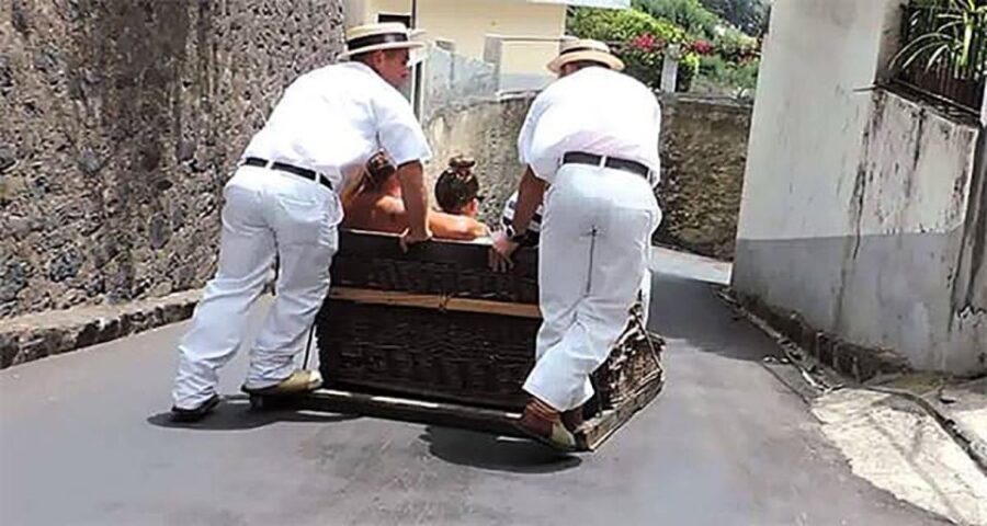 Toboggan Ride & Madeira Wine Tasting Tour - Who This Tour Is Best For