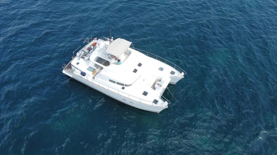 Torrevieja: Isabel alba catamaran tour 4 hours - Final thoughts