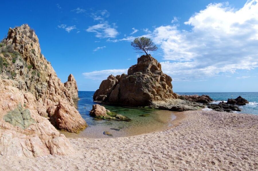 Tossa de Mar: PADI Scuba Diver Certification Course - Who Should Consider This Course?