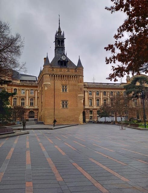 Toulouse private guided city tour - Who Will Love This Tour?