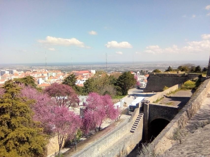 Tour of Arrábida and beautiful landscapes and wine tasting - What the Reviews Say