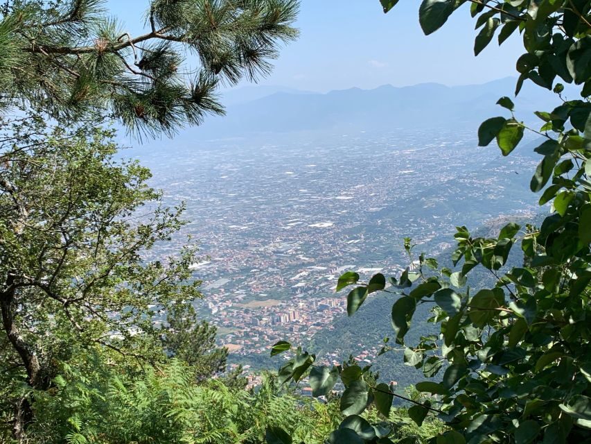 Tour : Positano Sorrento Pompeii Ruins whit Driver - The Journey: A Deep Dive into the Itinerary