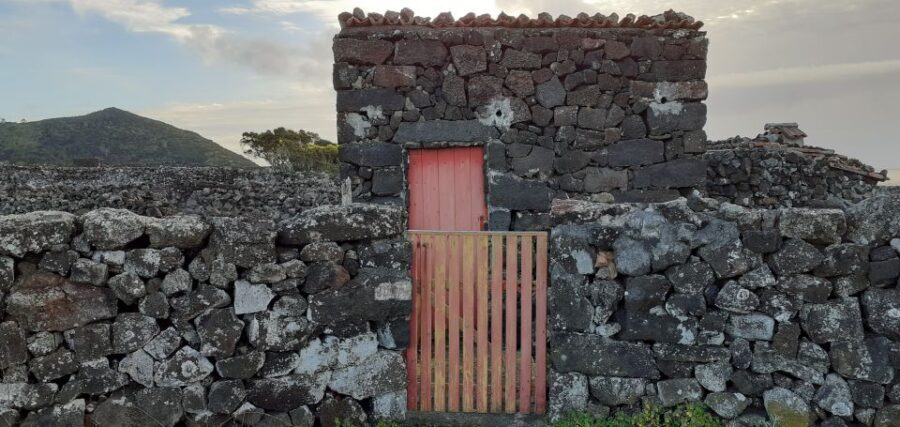 Tours on Pico Island - Cultural and Natural Landscape - Frequently Asked Questions
