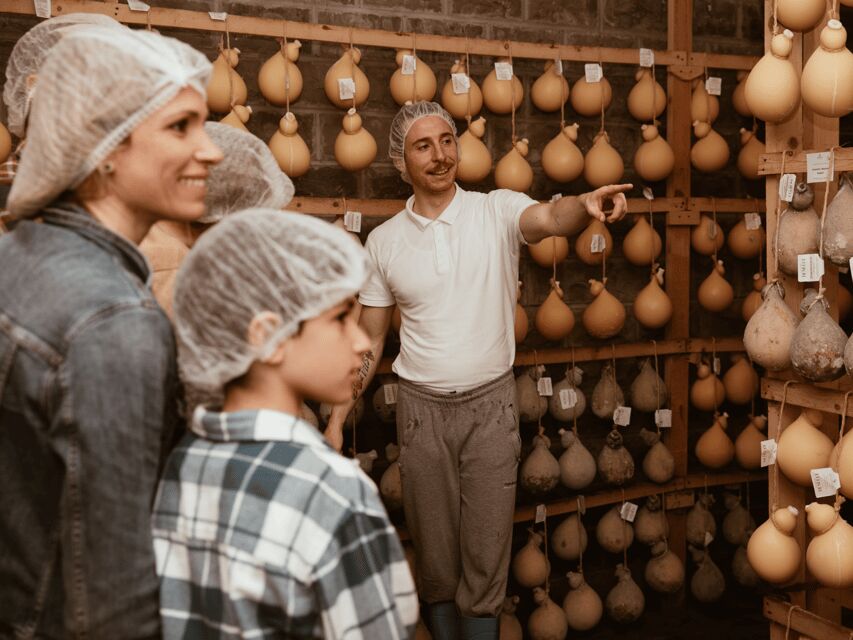 Traditional Cheese Factory Visit with Tasting near Isernia - The Itinerary in Detail