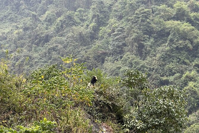 Trekking Ban Gioc Waterfall to Hidden Village on Unique Route - An In-Depth Look at the Tour Experience