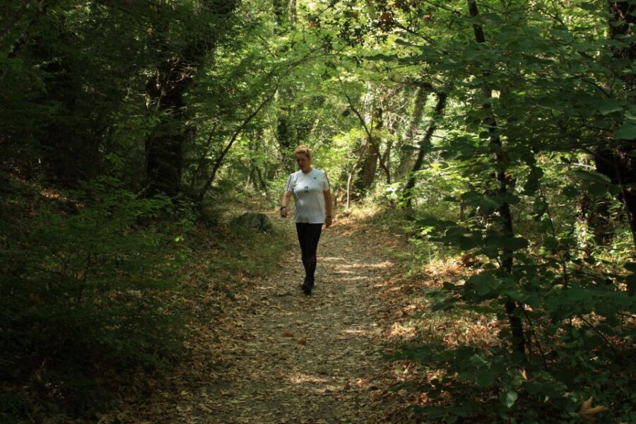Trekking day at Vikos Gorge for all - What To Expect