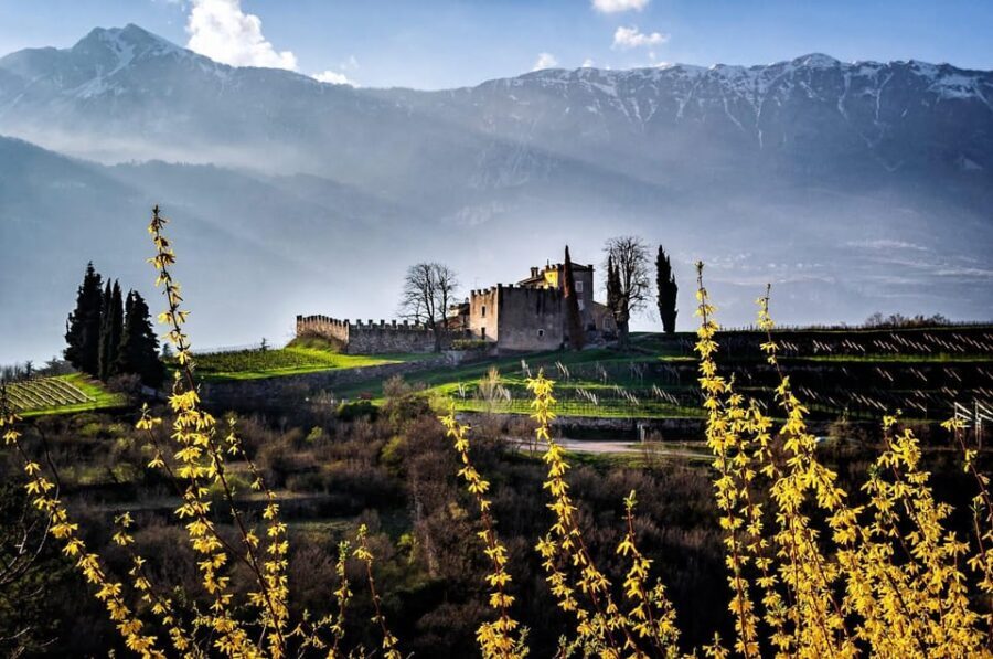 Trento: Balter Winery Guided Tour with Wine Tasting - Who Should Consider This Tour?