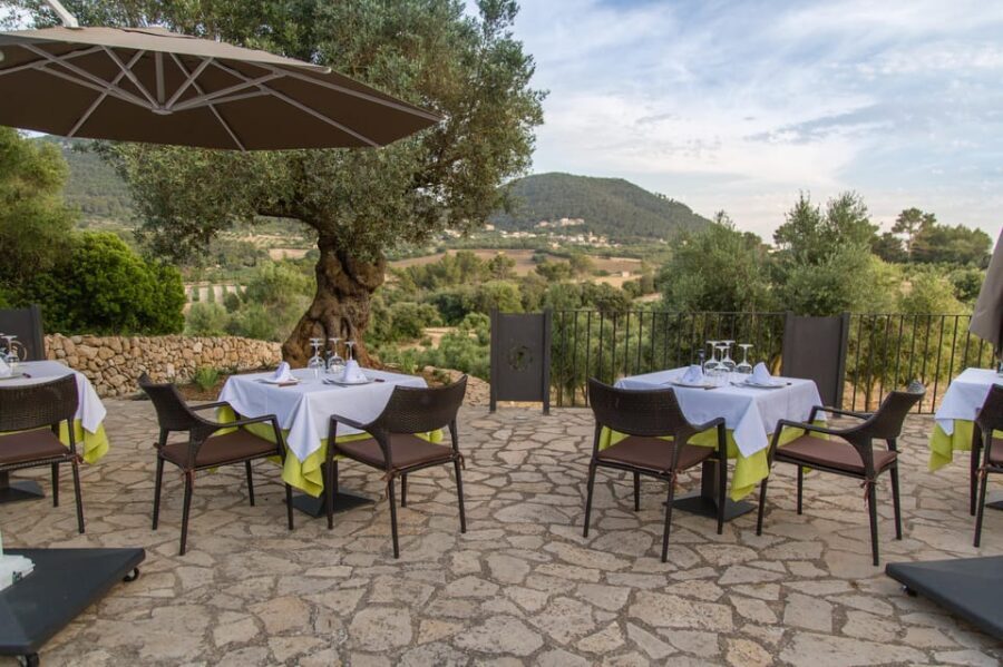 Treurer: Tapas Gourmet and Extra Virgin Olive Oil - Final Thoughts: Is It Worth It?