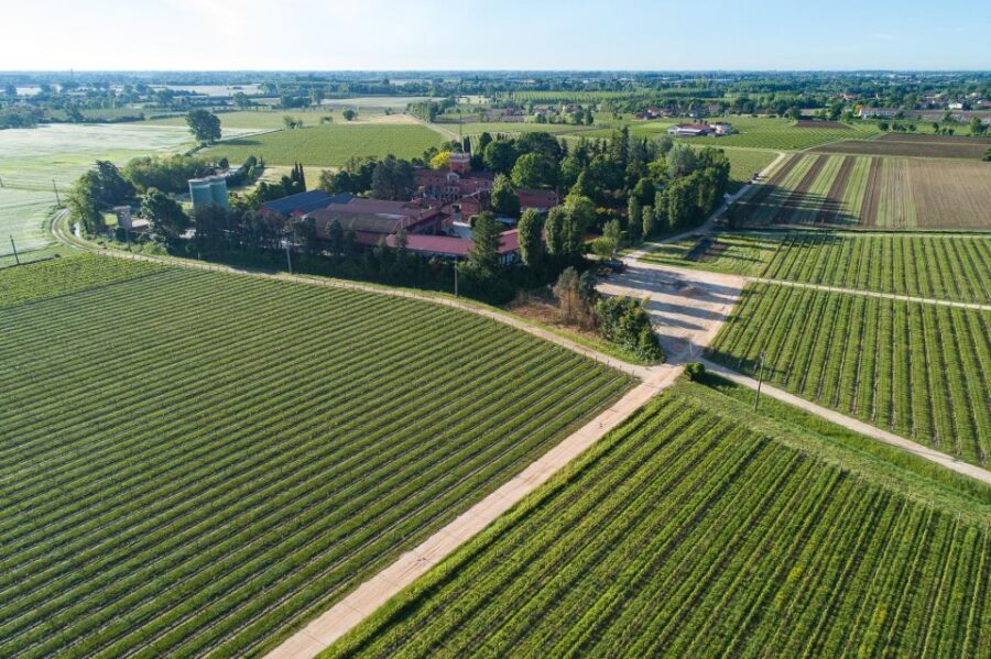 Treviso neighborhood: Tenute Tomasella/Wine Experience - Who Would Love This Tour?
