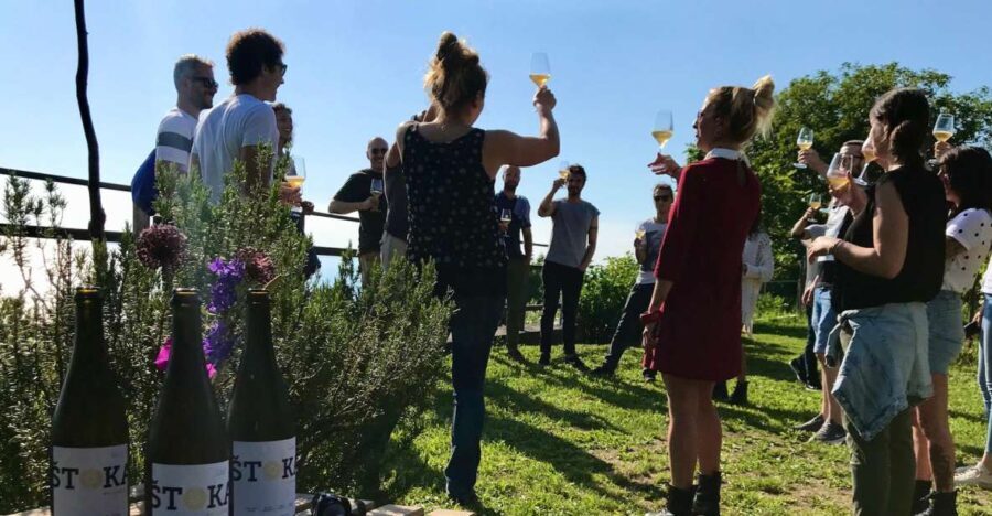 Trieste: 2.5-Hour Prosecco Origins Tour and Tastings - The Value and Overall Experience
