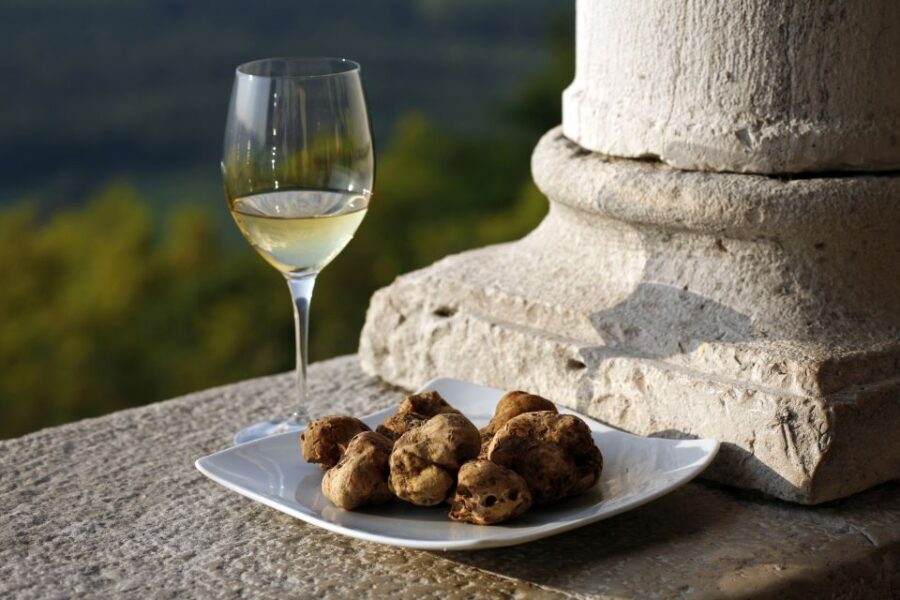 Trieste: Flavors of Istria Tour to Hum, Gronjan, & Motovun - Who Should Consider This Tour?