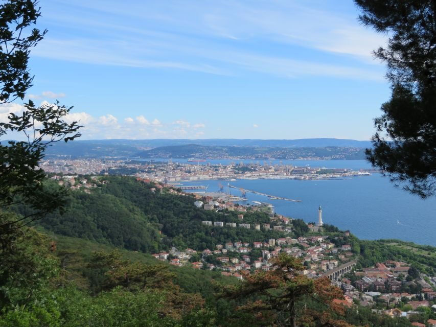 Trieste Panoramic City and Miramare Castle Tour - The Value of This Tour