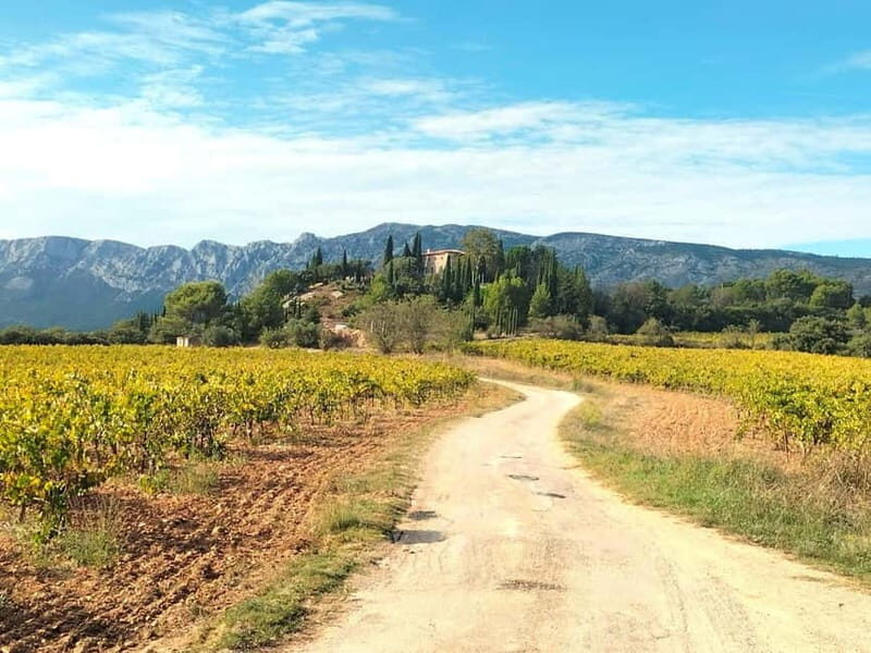 Trip to Aix-en Provence, Marseille & Countryside Wine Tour - What’s Included and What’s Not