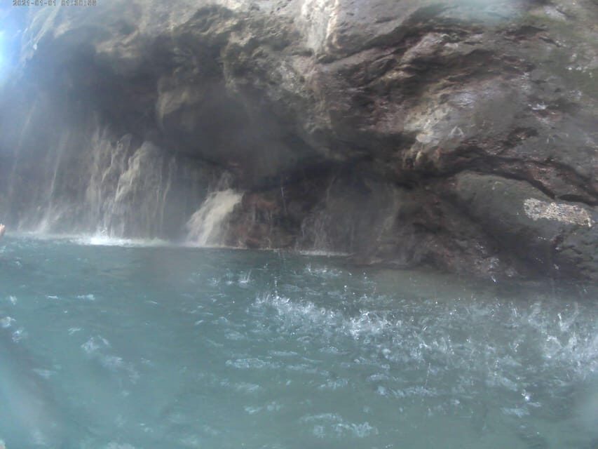 Trip to Kourtaliotiko Gorge and Preveli Beach - Practical Details and What to Know