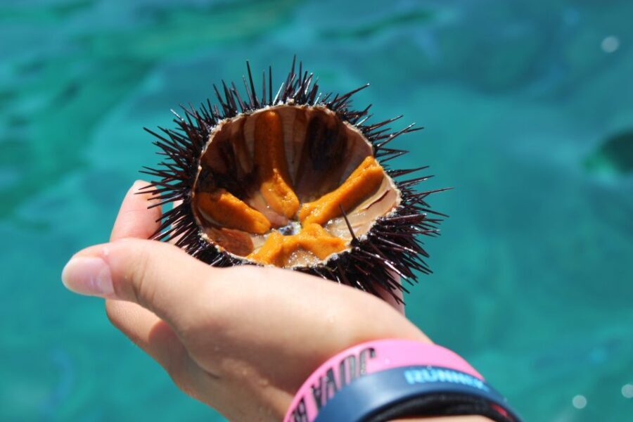 Tropea: Private Boat Rental with Skipper and Snacks - The Itinerary in Detail