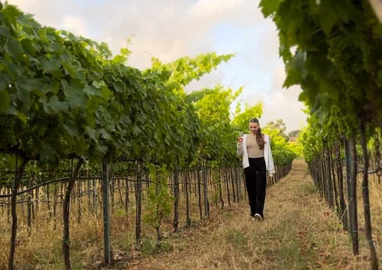 Tropea: Wine and Food Tasting - Who This Tour Is Best For