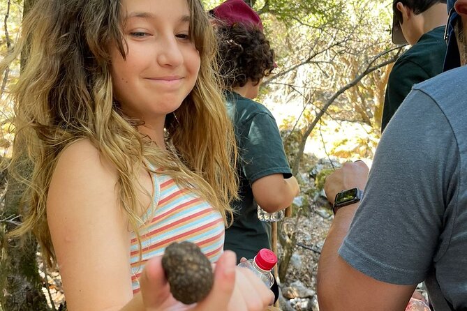 Truffle Hunting, Culinary & Wine Celebration from Elounda - Truffle Hunting, Culinary & Wine Celebration from Elounda: An In-Depth Review