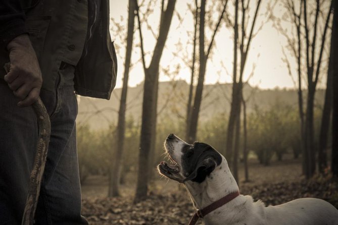 Truffle Hunting & Wine Tasting In Istria (private V.i.p. Tour) - Key Points