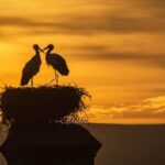 Trujillo :Sunset guided visit "The Sunset Collector". - Who Will Love This Tour?