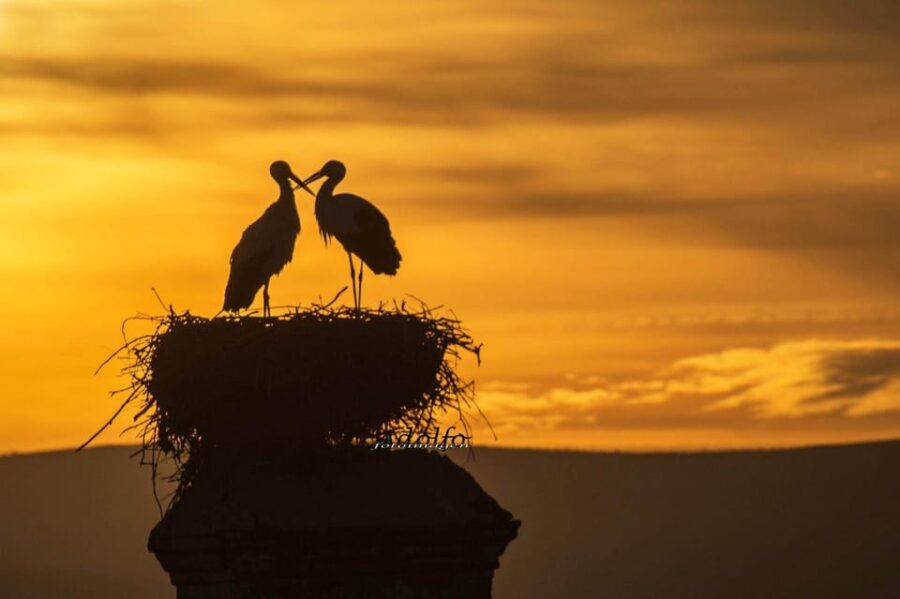 Trujillo :Sunset guided visit "The Sunset Collector". - Who Will Love This Tour?