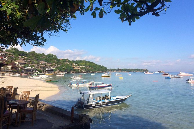 Try Diving in Nusa Lembongan - Penida. For beginners (with 2 ocean dives) - Detailed Itinerary Breakdown