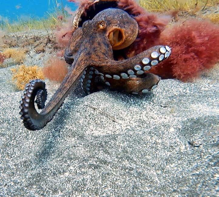 Try Scuba diving 1-1 with female instructor - Final Thoughts: Who Should Consider This Tour?