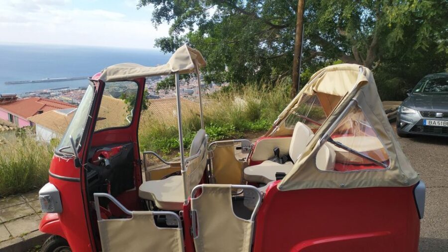 Tuk Tuk Botanical Garden - Madeira Island - A Detailed Look at the Tour Experience
