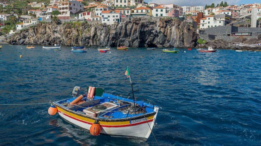 Tuk Tuk Wine Tour - Madeira Island - Exploring the Details: What’s Included and How It Works
