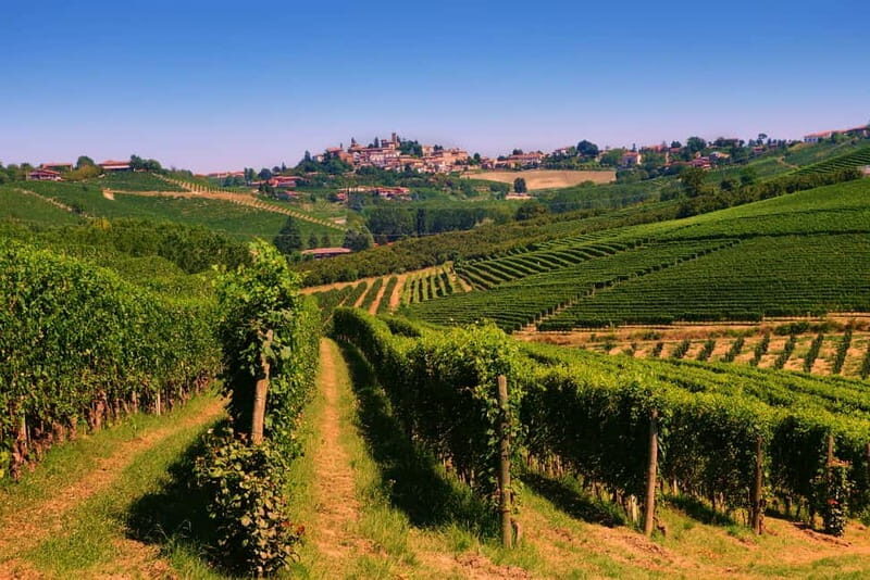 Turin: Langhe Wine Tour with Private Transfers and Lunch - What’s Included and What to Keep in Mind