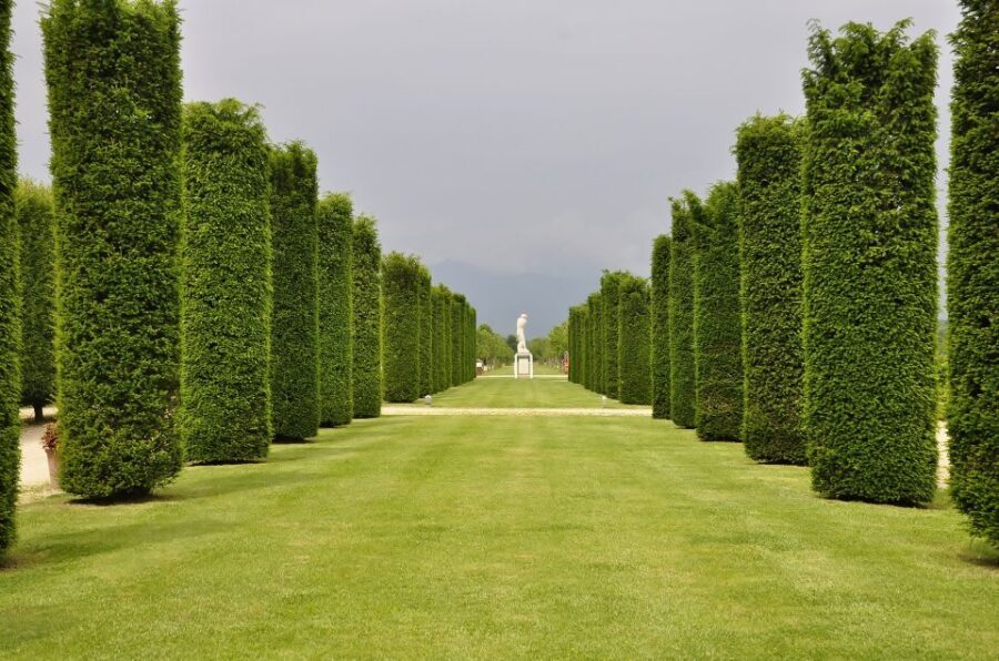 Turin: Palace of Venaria Guided Tour - The Itinerary in Detail