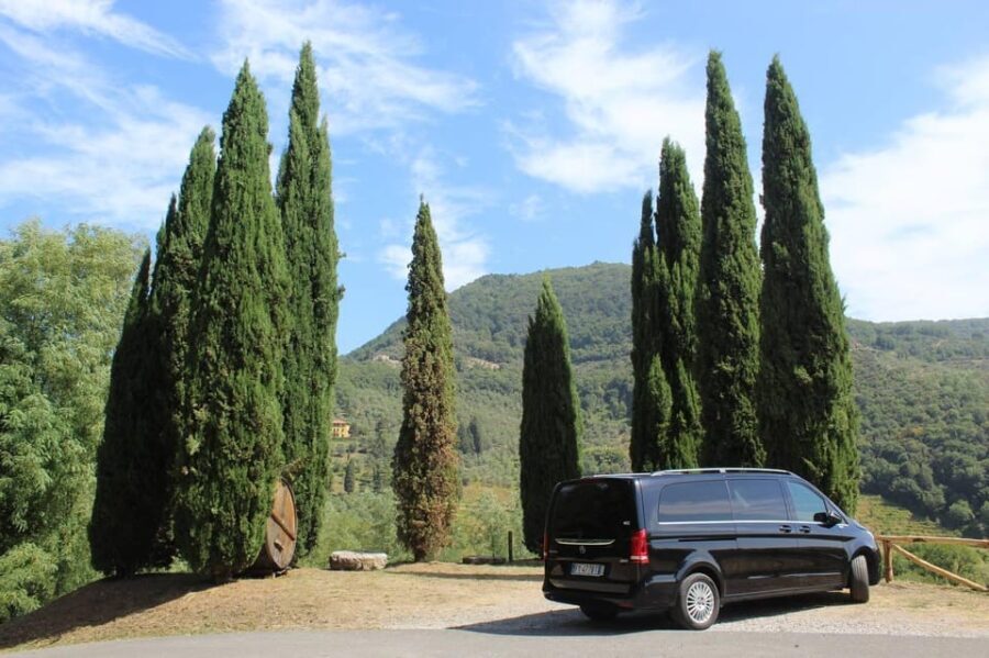 Tuscan Wine Tour by van from Lucca - What Are the Key Highlights?