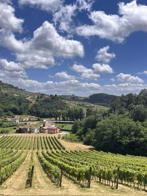 Tuscan Wine Tour by van from Pisa - The Itinerary Breakdown