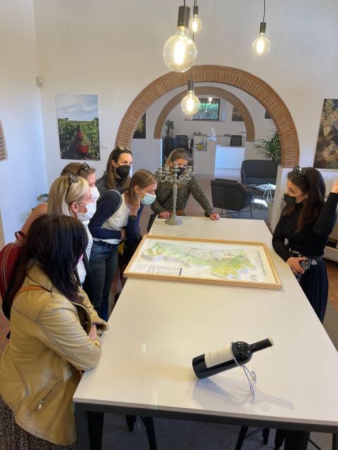 Tuscan wine tour experience with Sommelier private driver - What is included and what makes this tour stand out